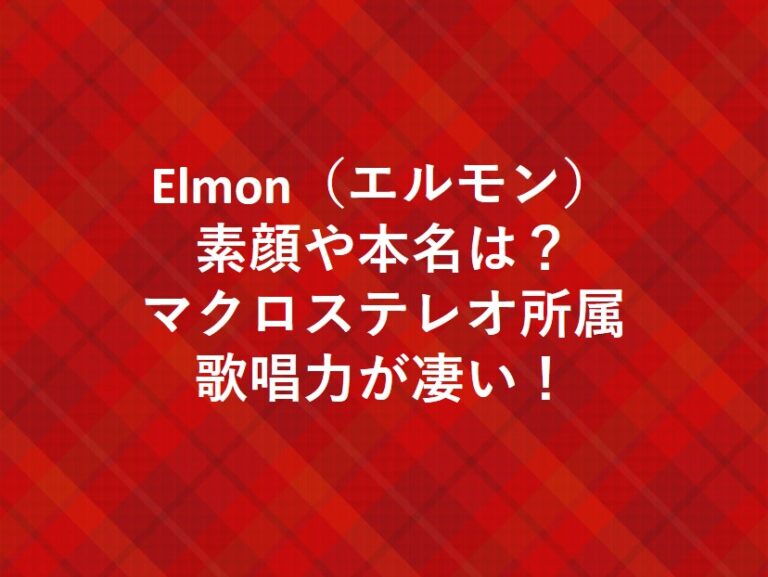 【画像】Elmon（エルモン）の本名や年齢は？素顔が可愛くて歌唱力に驚愕！ | fumido